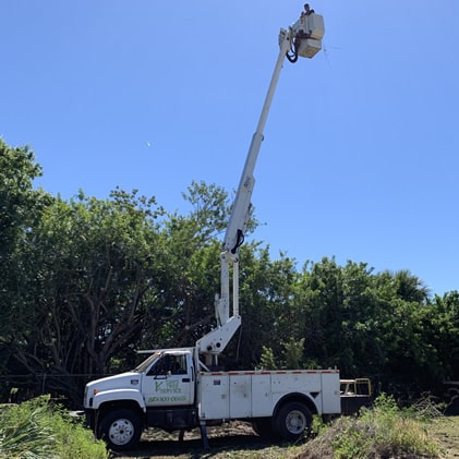 Our Tree Care Services For The Bradenton Florida Area